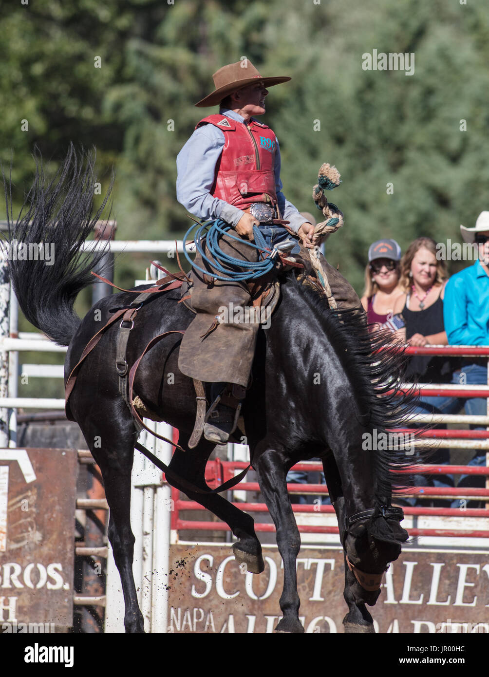 Rodeo action at the Scott Valley Pleasure Park Rodeo in Etna ...