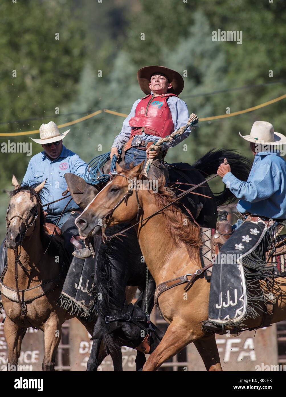 Rodeo action at the Scott Valley Pleasure Park Rodeo in Etna ...