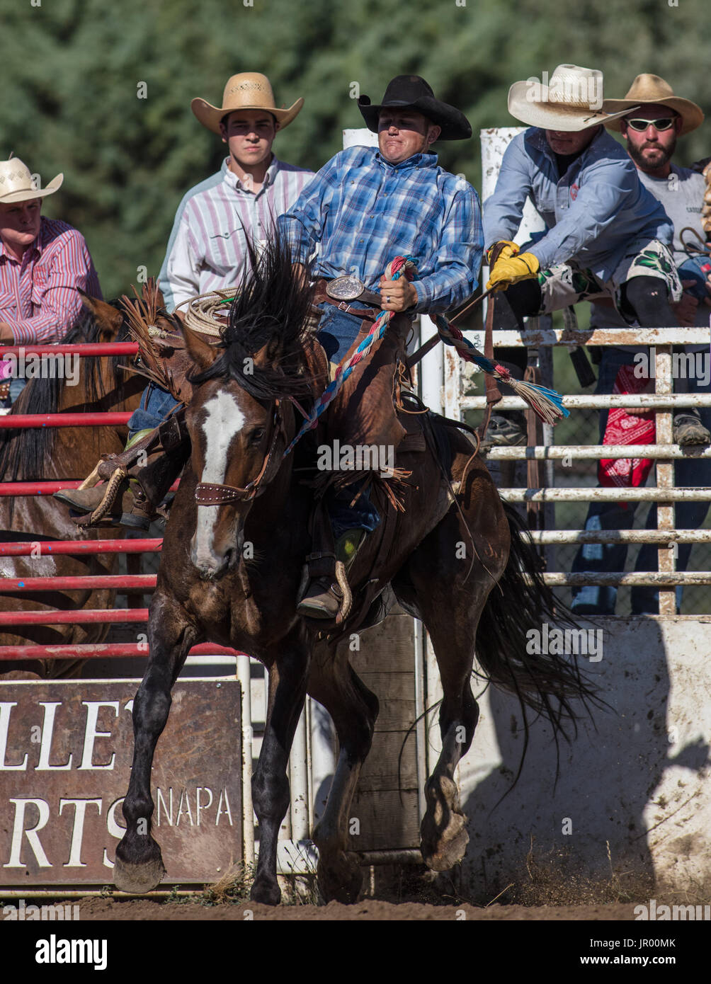 Rodeo action at the Scott Valley Pleasure Park Rodeo in Etna ...