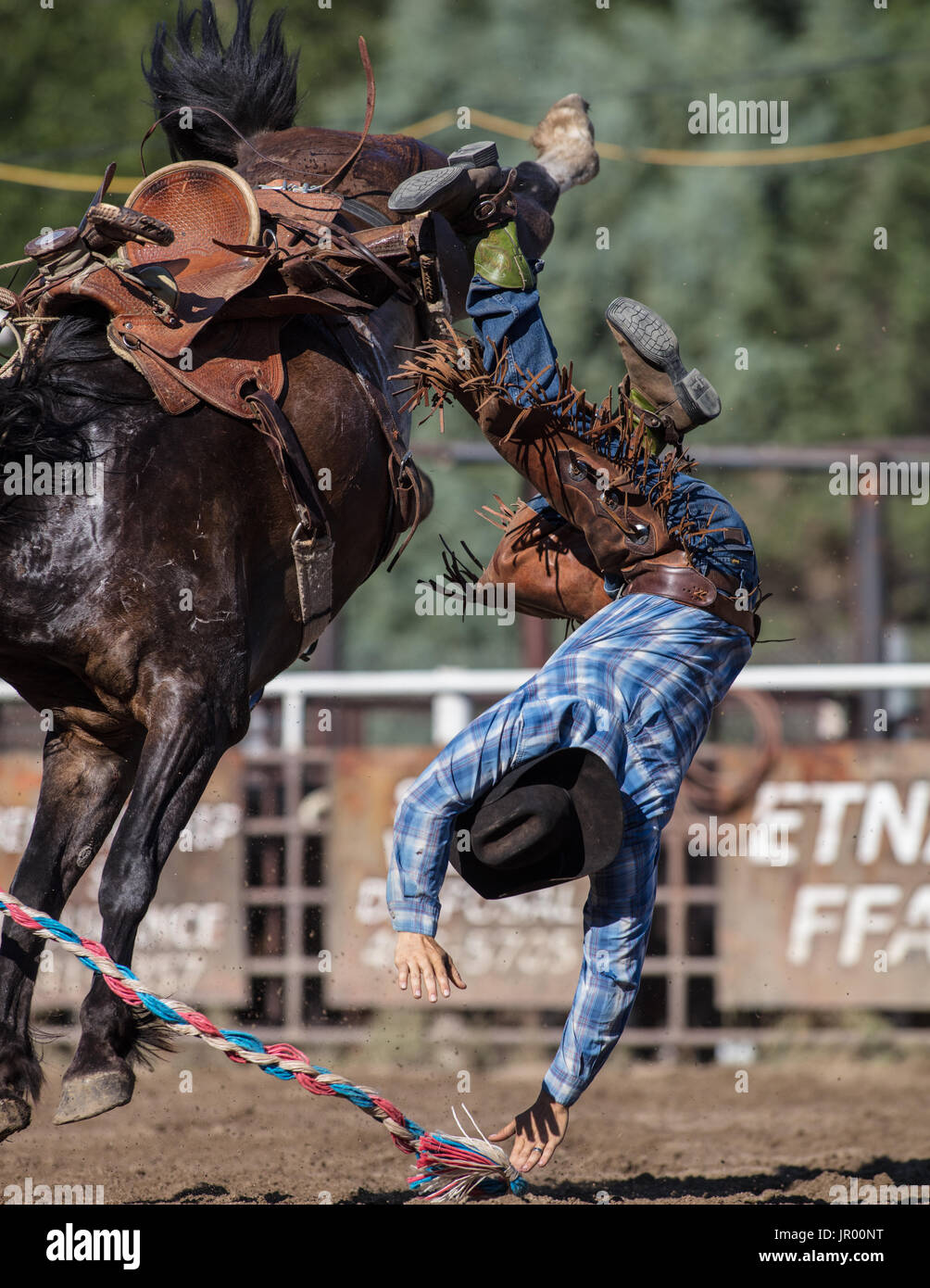 Rodeo action at the Scott Valley Pleasure Park Rodeo in Etna ...