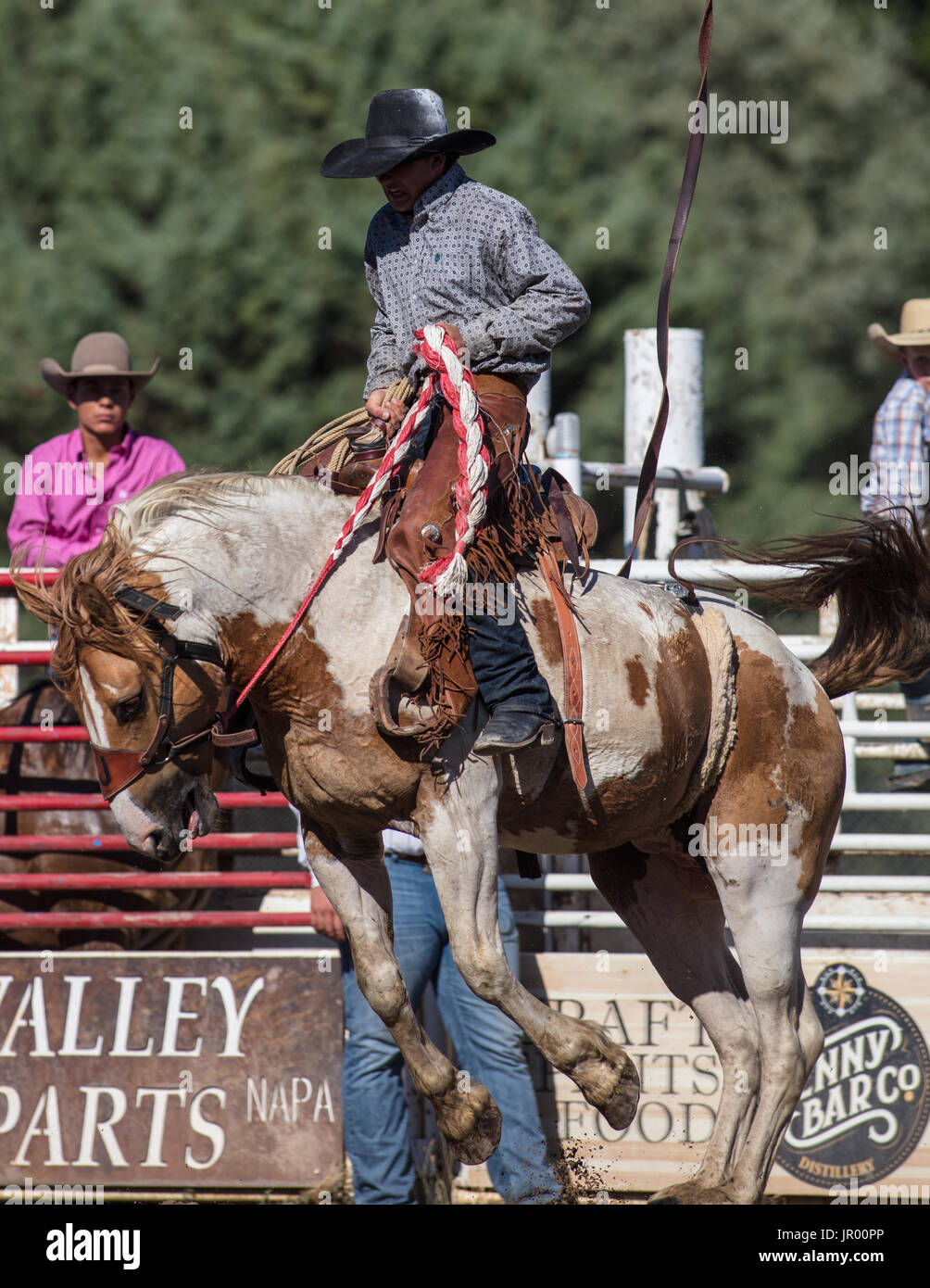 Rodeo action at the Scott Valley Pleasure Park Rodeo in Etna ...