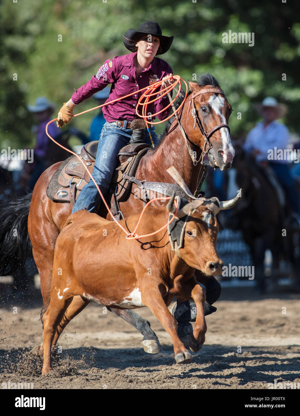 Rodeo action at the Scott Valley Pleasure Park Rodeo in Etna ...