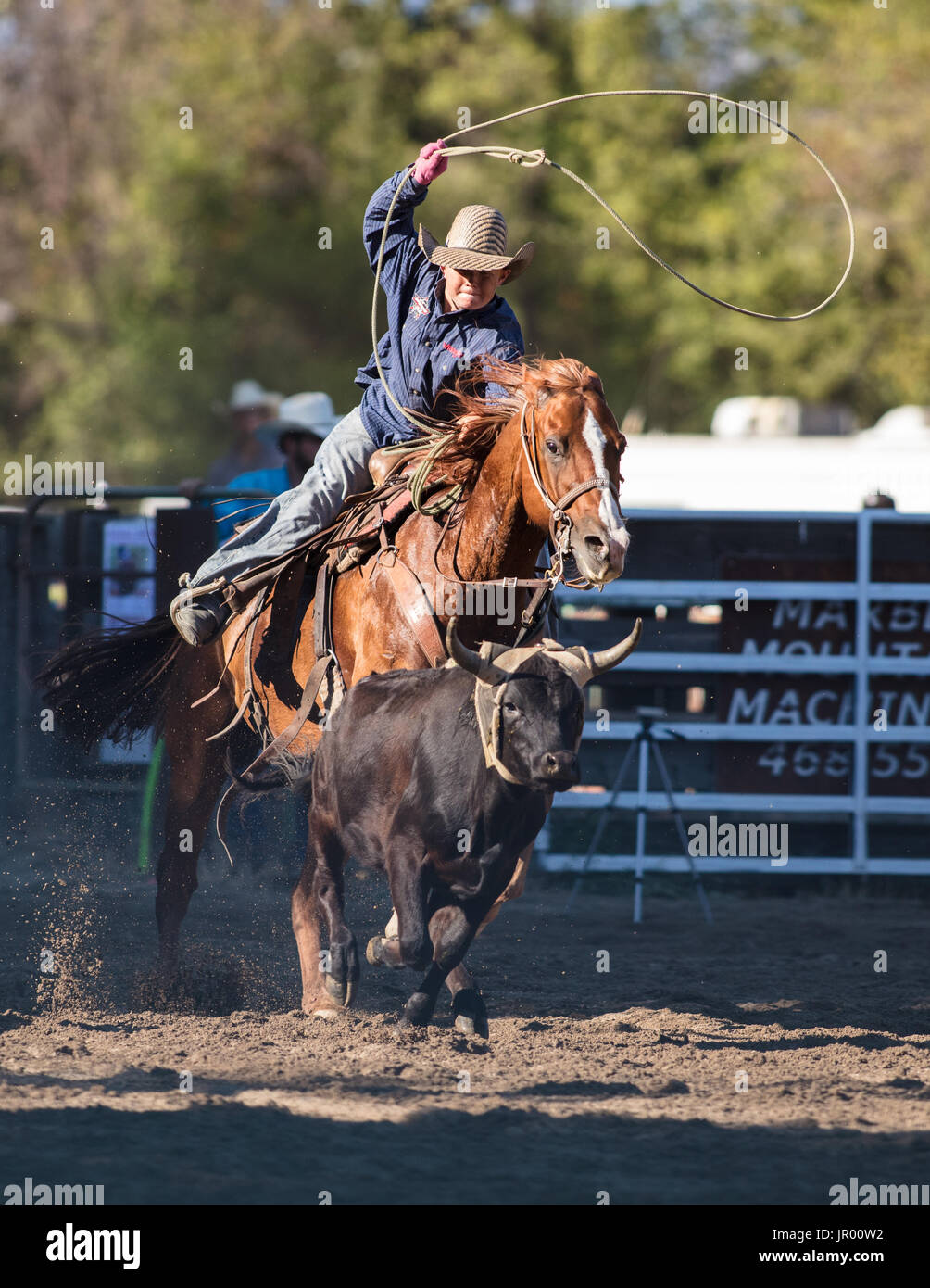 Rodeo action at the Scott Valley Pleasure Park Rodeo in Etna ...