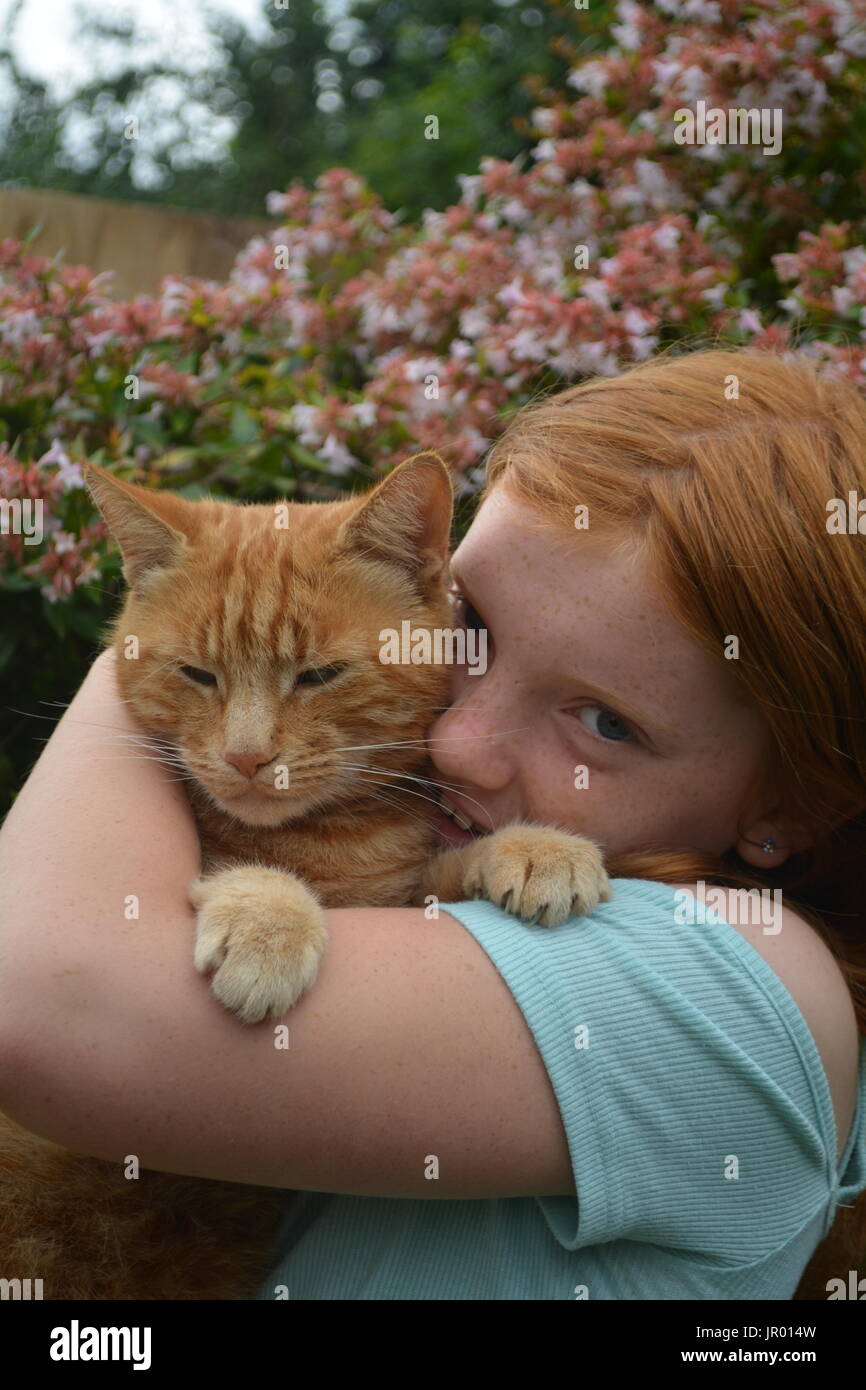 red hair girl cuddling ginger cat Stock Photo - Alamy