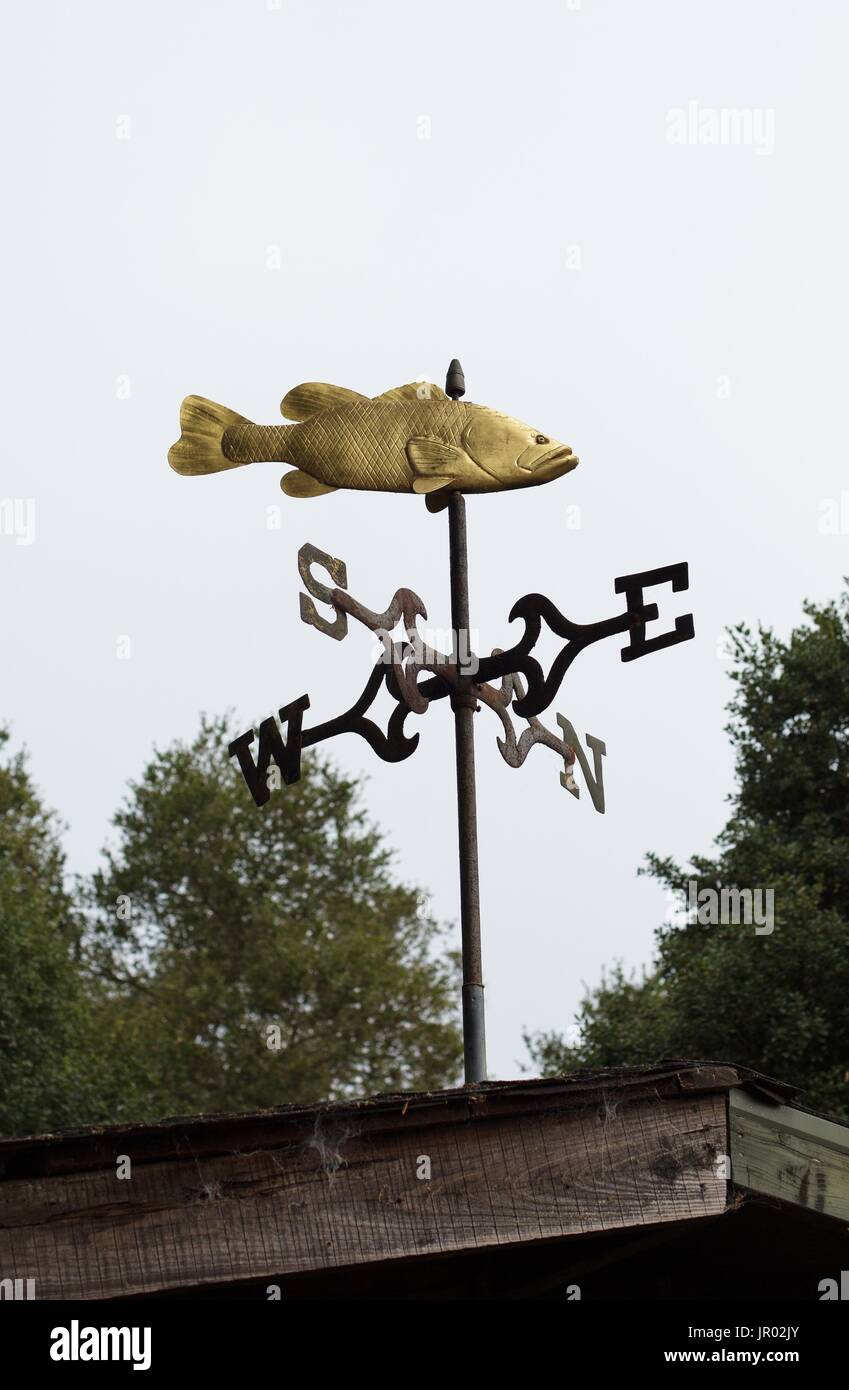 A weather vane with a gold fish Stock Photo - Alamy