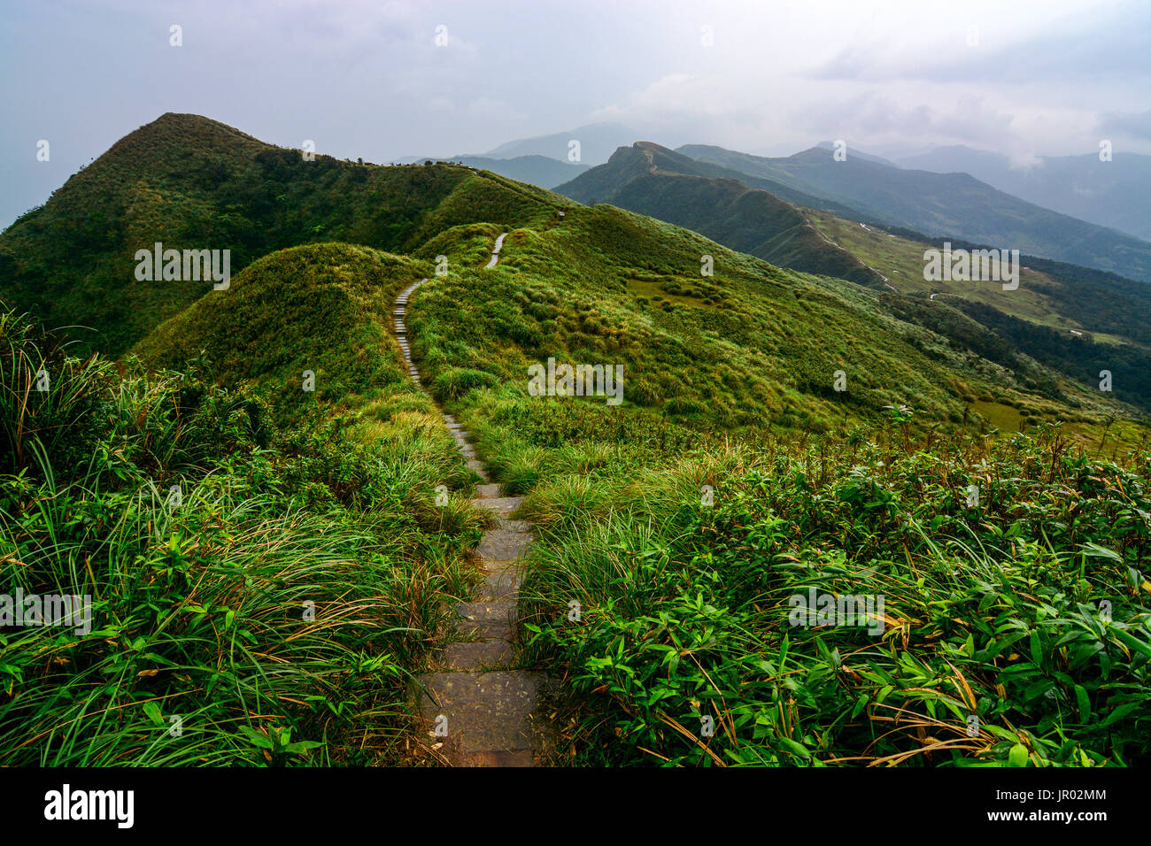 Peaceful path through green coastal hills and grasslands on the Caoling ...
