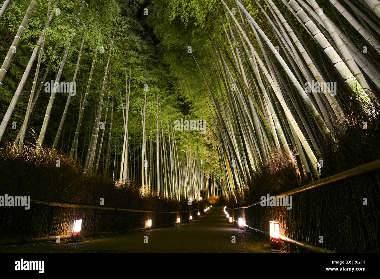 Japanese lanterns forest hi-res stock photography and images - Alamy