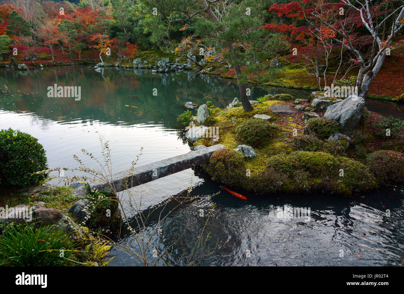Small bridge in garden hi-res stock photography and images - Alamy