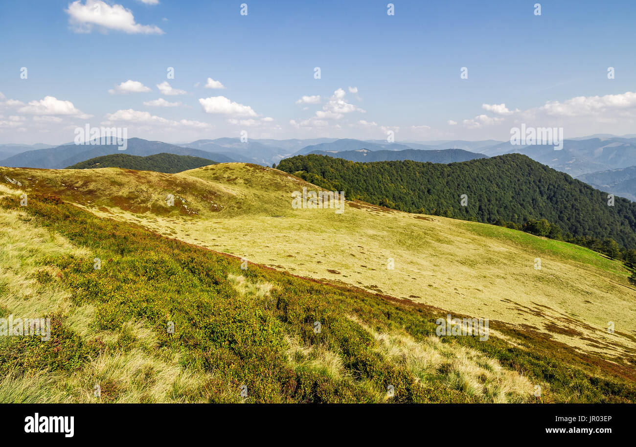 grassy hills of wide mountain ridge. beautiful autumn nature background ...