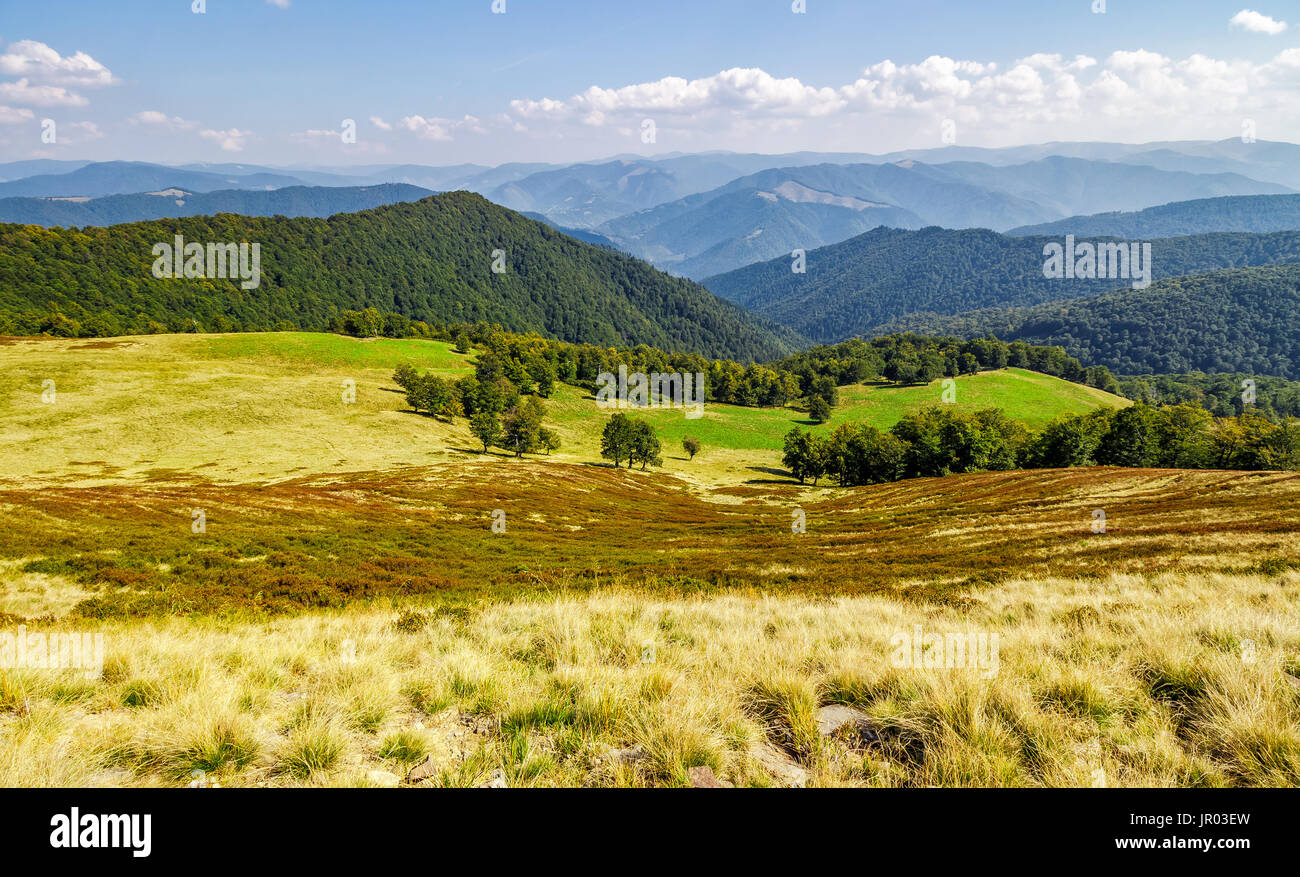forest on hills of wide mountain ridge. lovely autumn scene. beautiful ...