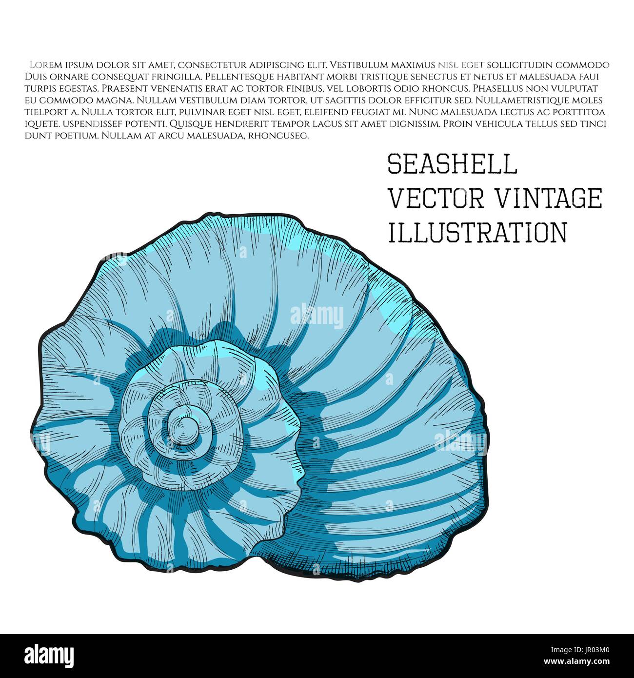 shell drawing with colour