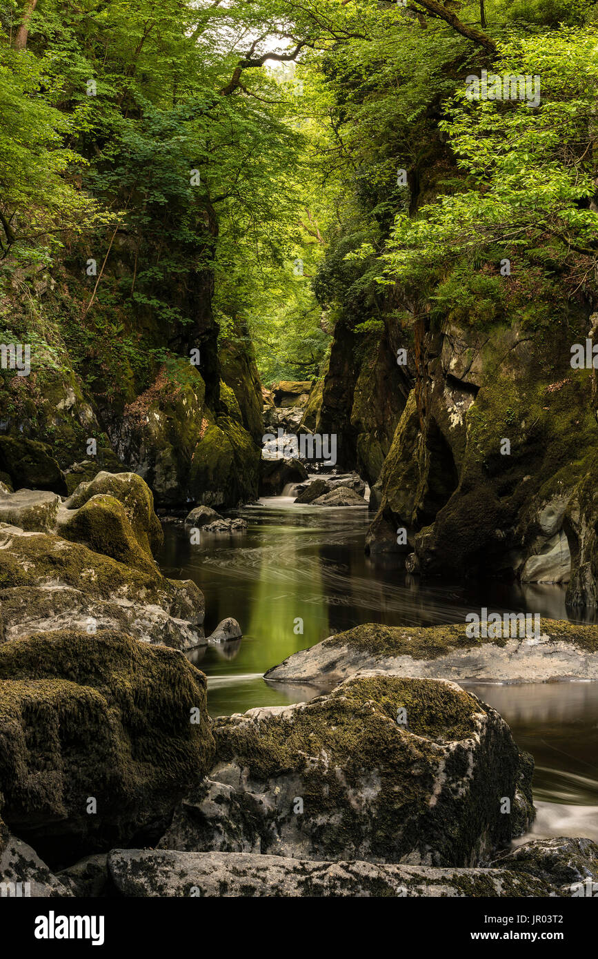 Beautiful landscape with river flowing through deep sided gorge with ...