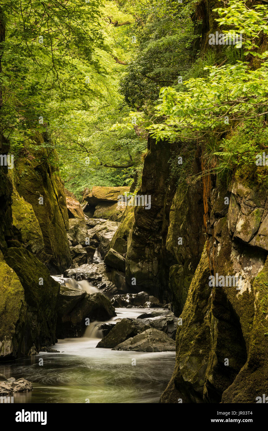 Beautiful landscape with river flowing through deep sided gorge with ...