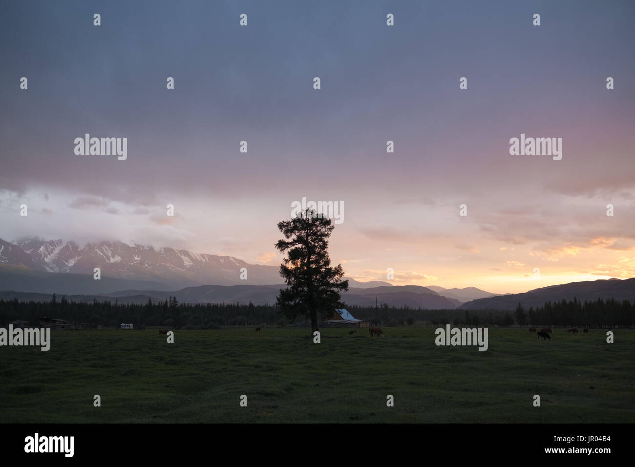 Silhouette mountains horizontal rolling hi-res stock photography and ...
