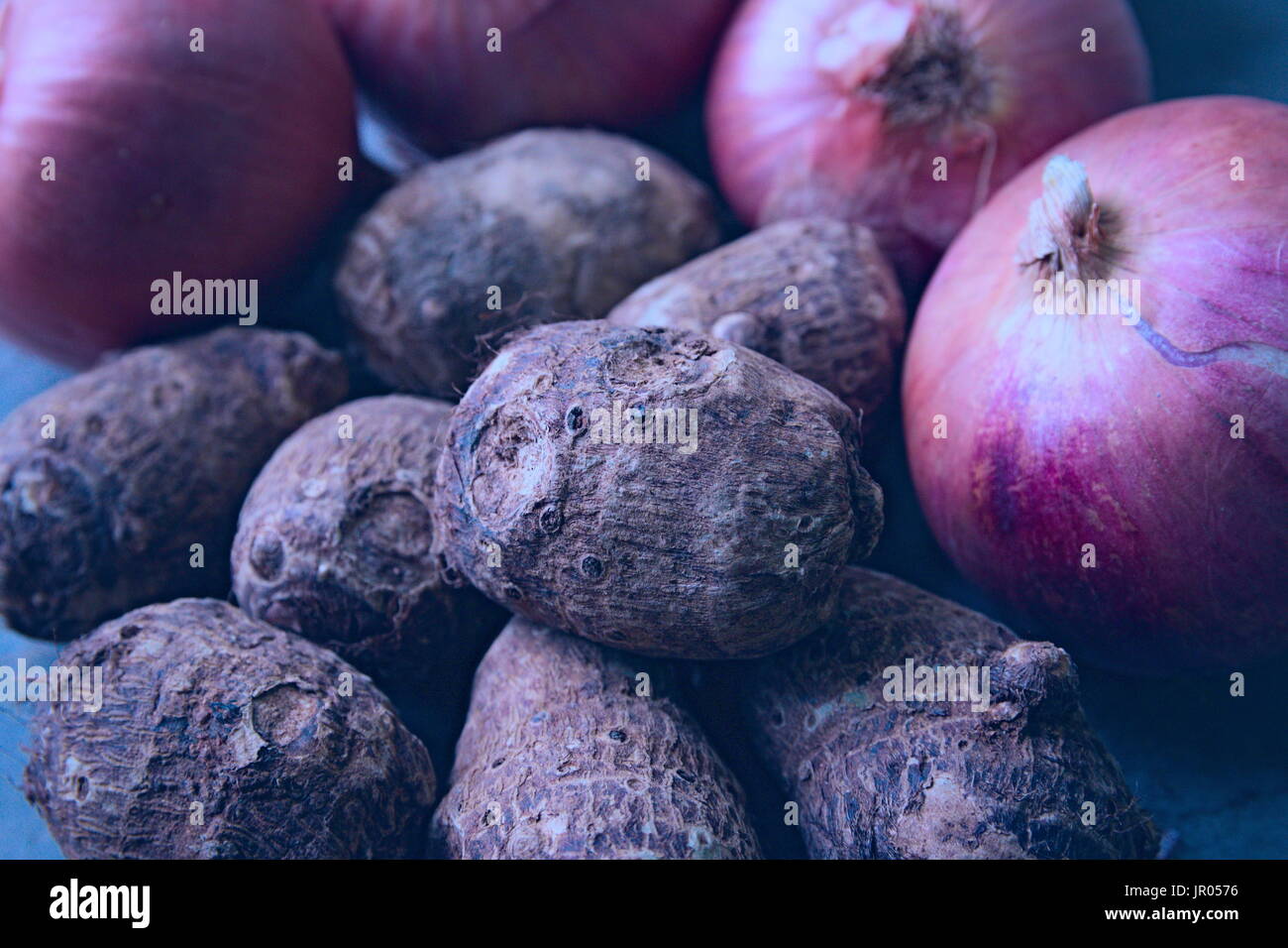 Grow from corms hi-res stock photography and images - Alamy