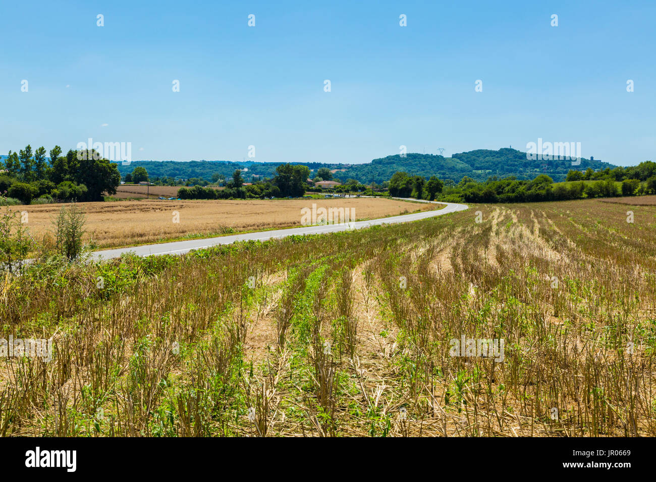 Image of a French rural road between the fields Stock Photo - Alamy