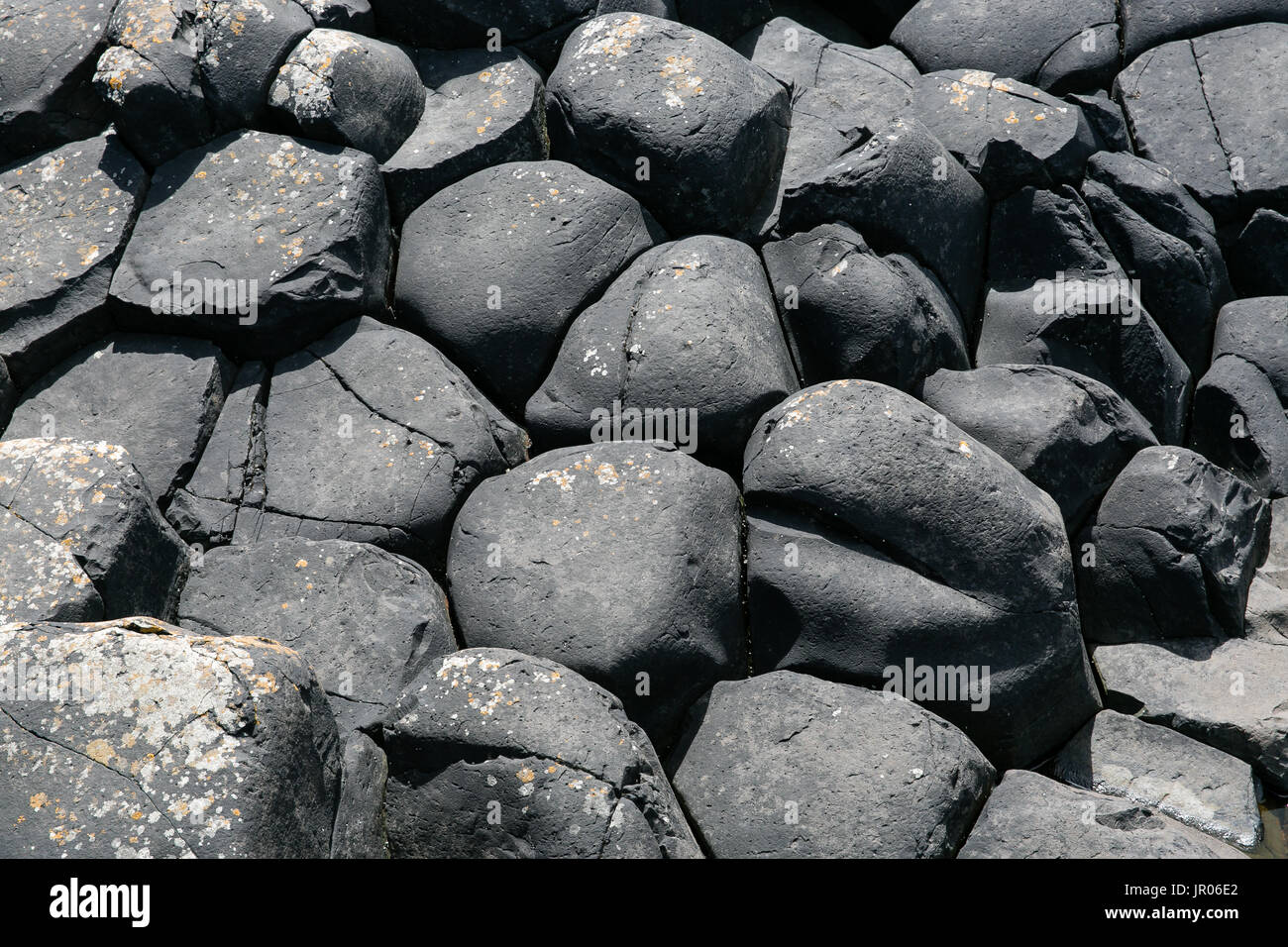 Bed of volcanic hexagonal rocks basalt columns at the Giant`s Causeway ...