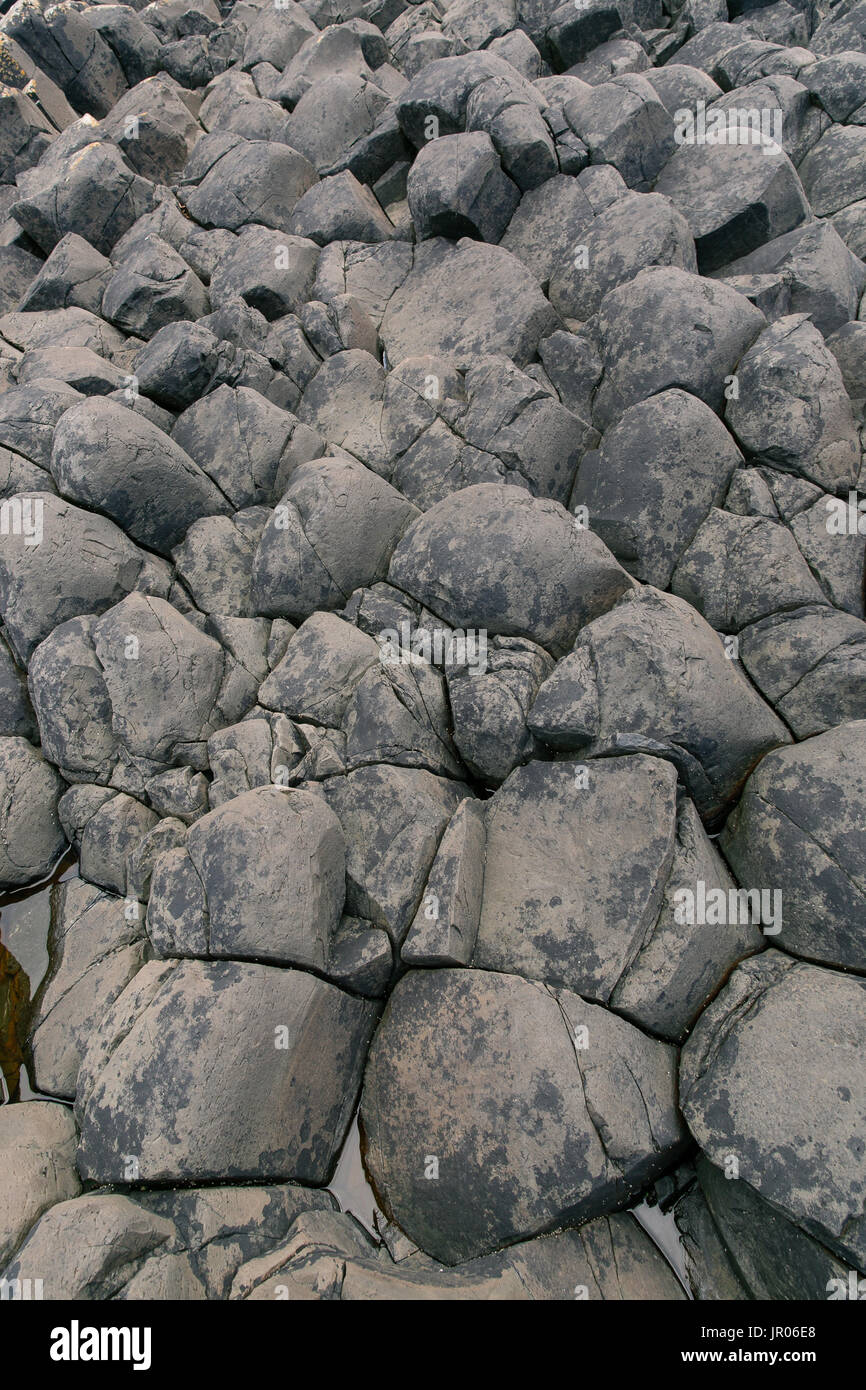 Bed of volcanic hexagonal rocks basalt columns at the Giant`s Causeway ...