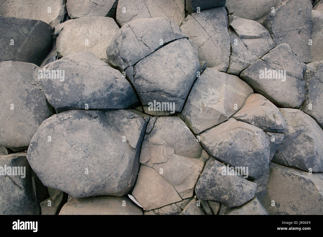 Bed of volcanic hexagonal rocks basalt columns at the Giant`s Causeway ...