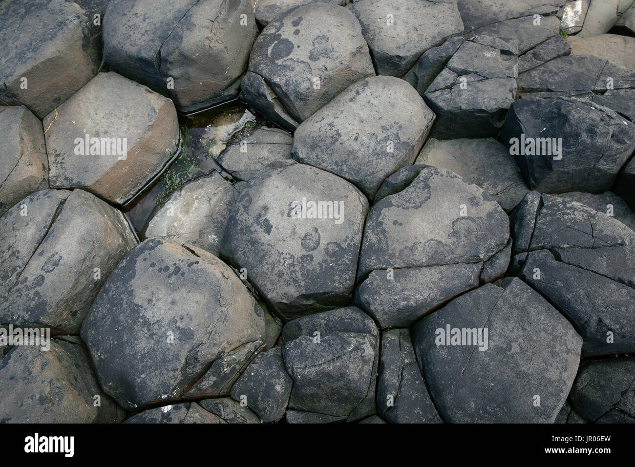 Bed of volcanic hexagonal rocks basalt columns at the Giant`s Causeway ...
