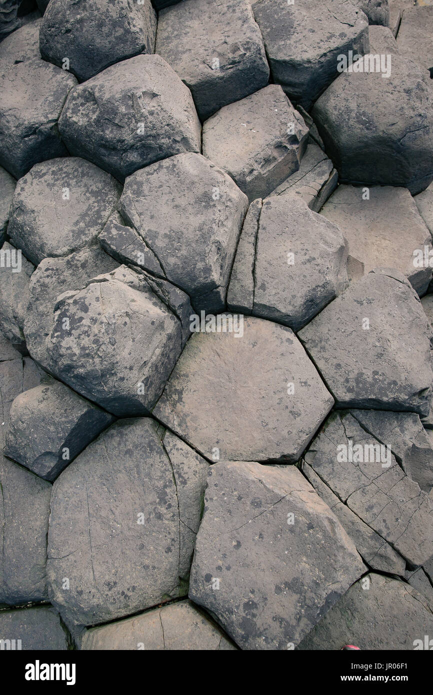 Bed of volcanic hexagonal rocks basalt columns at the Giant`s Causeway ...
