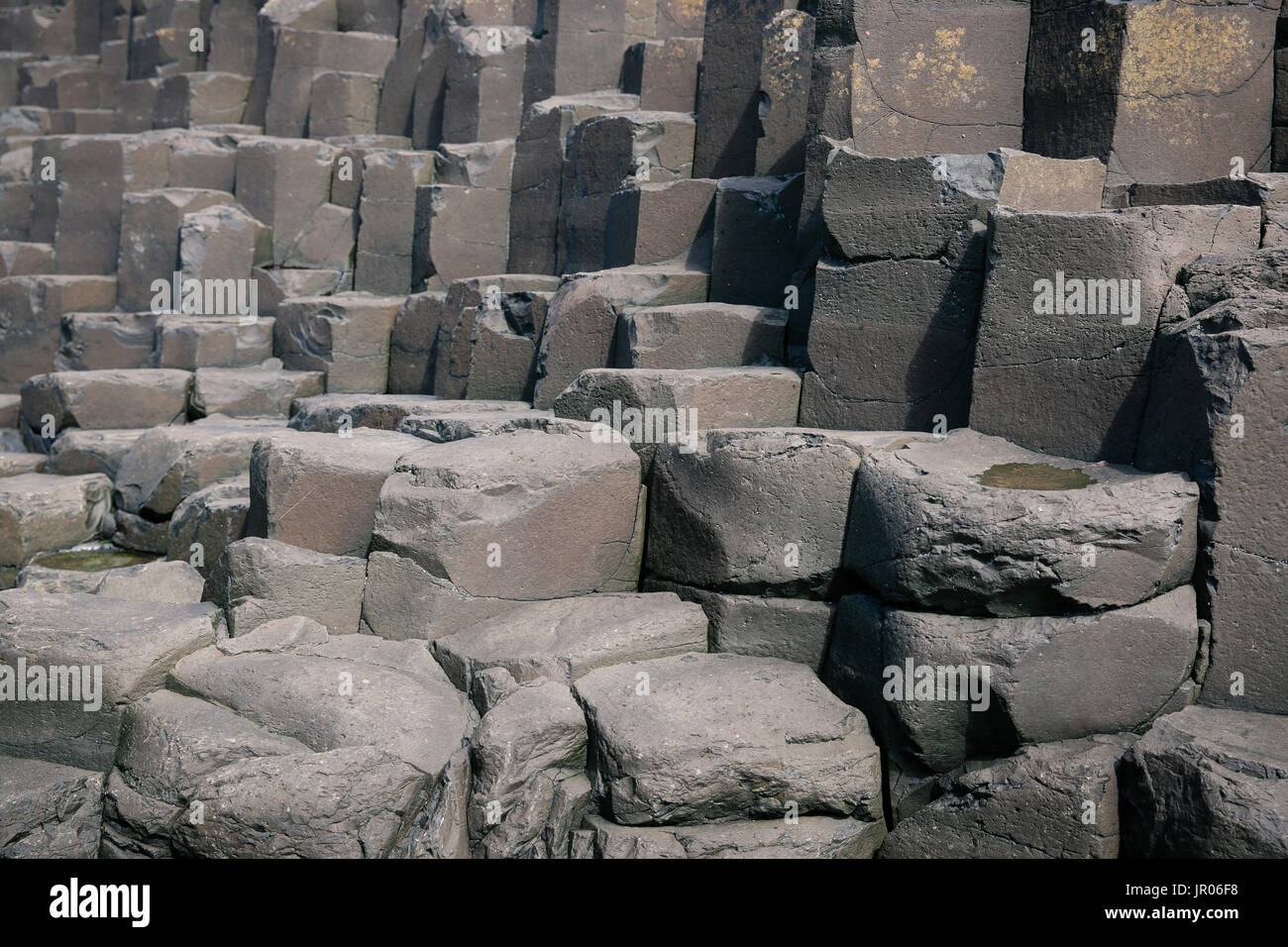 Bed of volcanic hexagonal rocks basalt columns at the Giant`s Causeway ...
