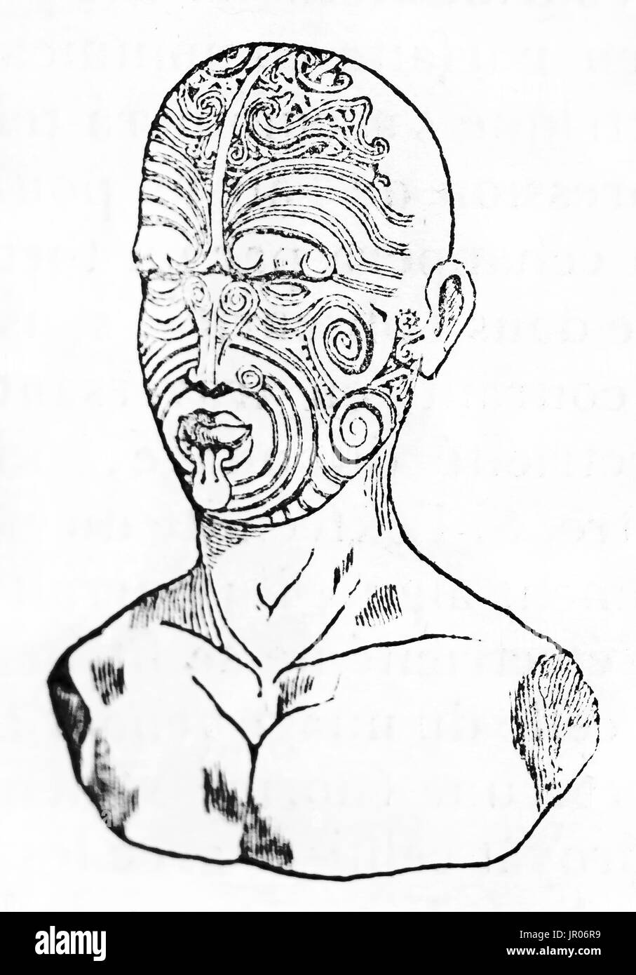 New zealand maori drawing hi-res stock photography and images - Alamy