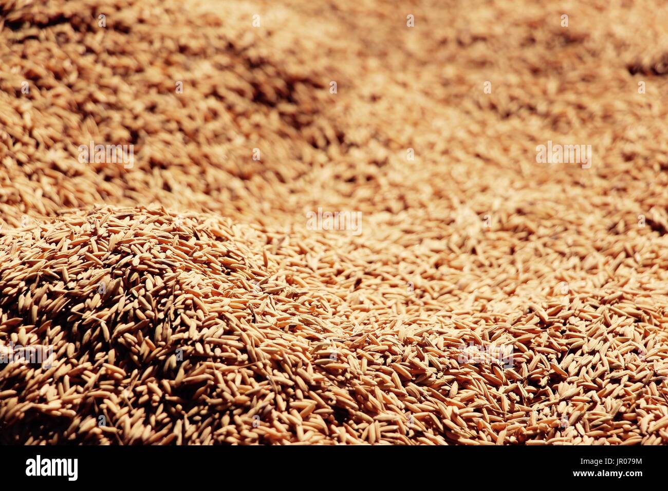 Pile of rice sold on a local market in Sulawesi (Indonesia Stock Photo ...