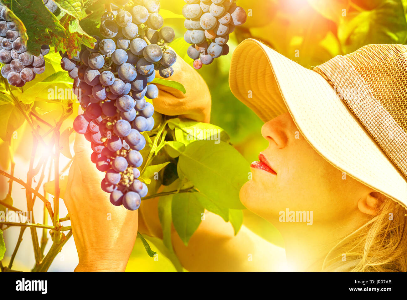 Checking fruit ripe hi-res stock photography and images - Alamy