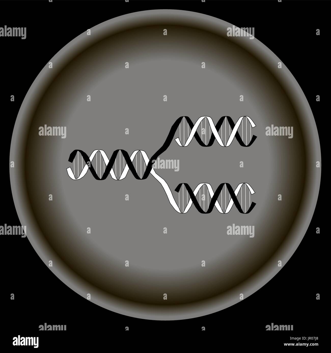 Icon white black replication DNA on grey plate Stock Vector Image & Art ...