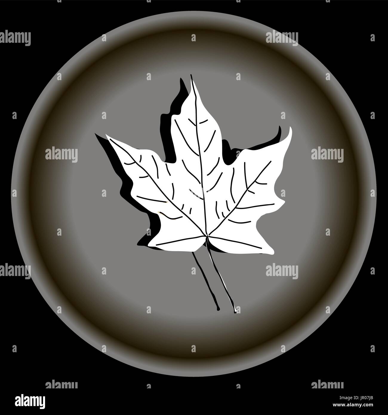 Icon white maple leave on grey plate Stock Vector Image & Art - Alamy