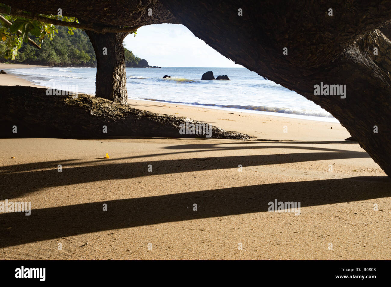 Shadow patterns on beach Stock Photo - Alamy