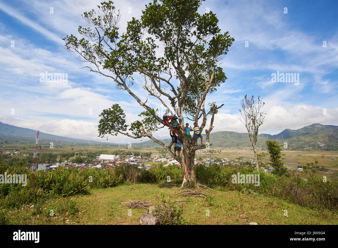 Spider rice field hi-res stock photography and images - Alamy