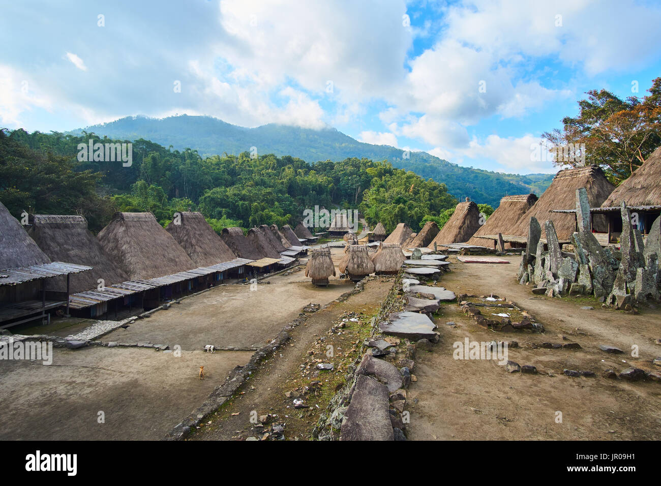 bena traditional village flores Stock Photo - Alamy