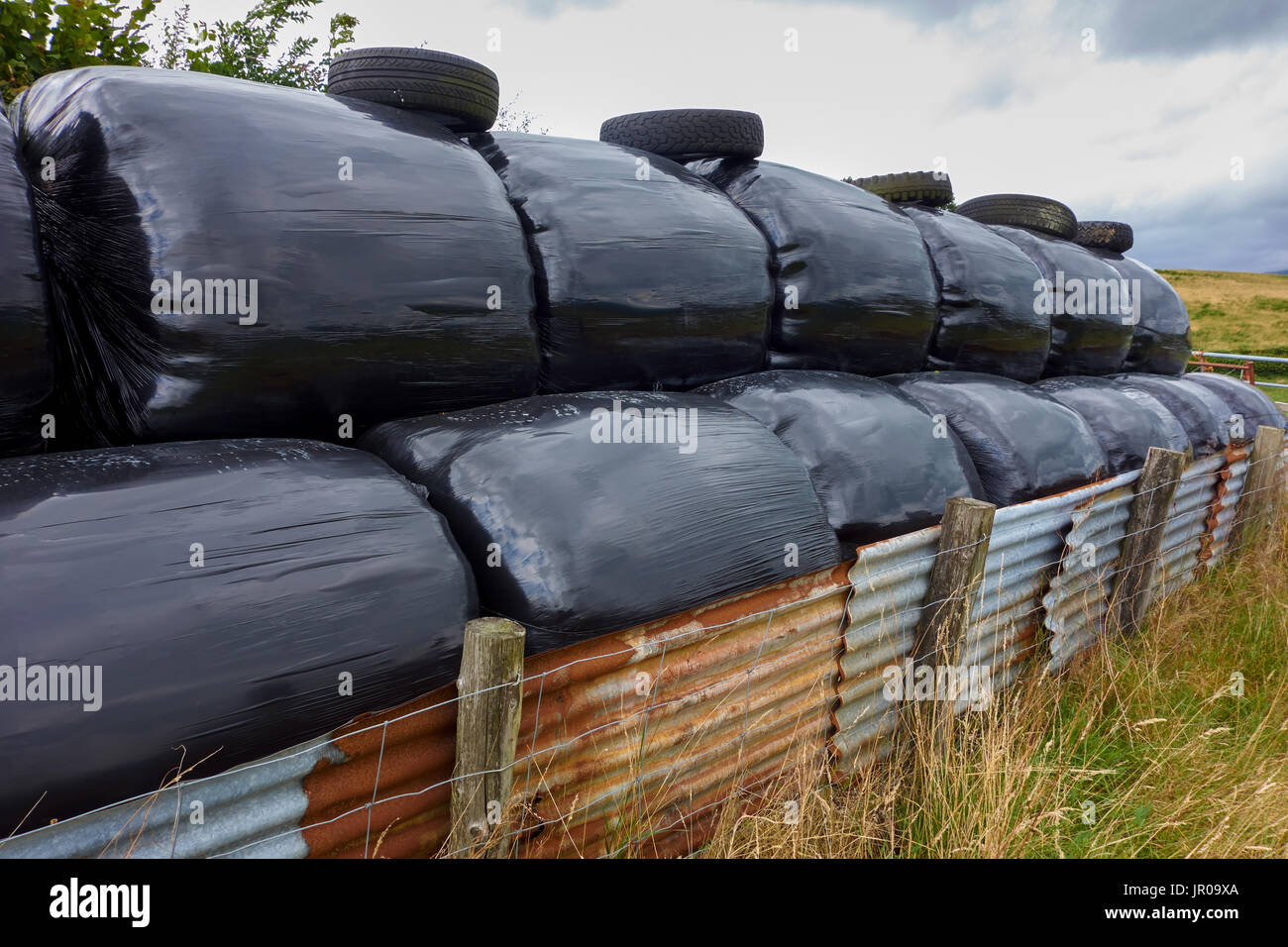 Bales In Black Wrap High Resolution Stock Photography and Images - Alamy