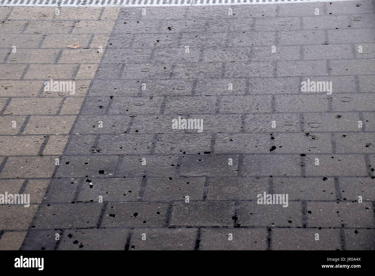 Best Way To Clean Dirty Paving Stones at Blair Martin blog