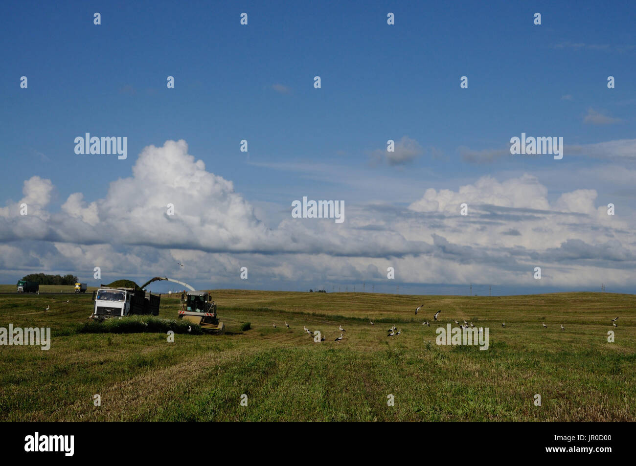 White stork and tractor hi-res stock photography and images - Alamy