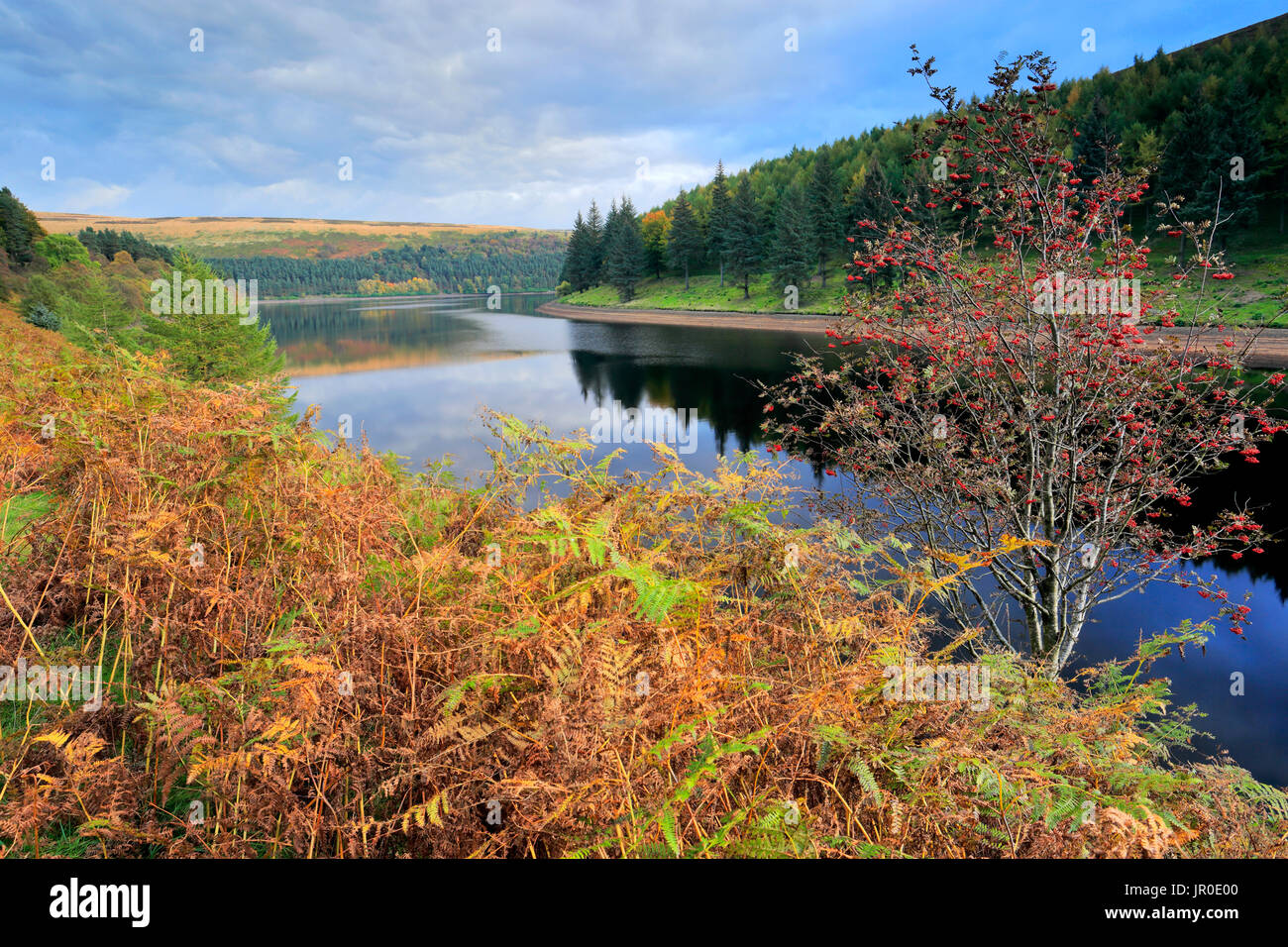 Autumn; Derwent reservoir; Derbyshire; Peak District National Park ...