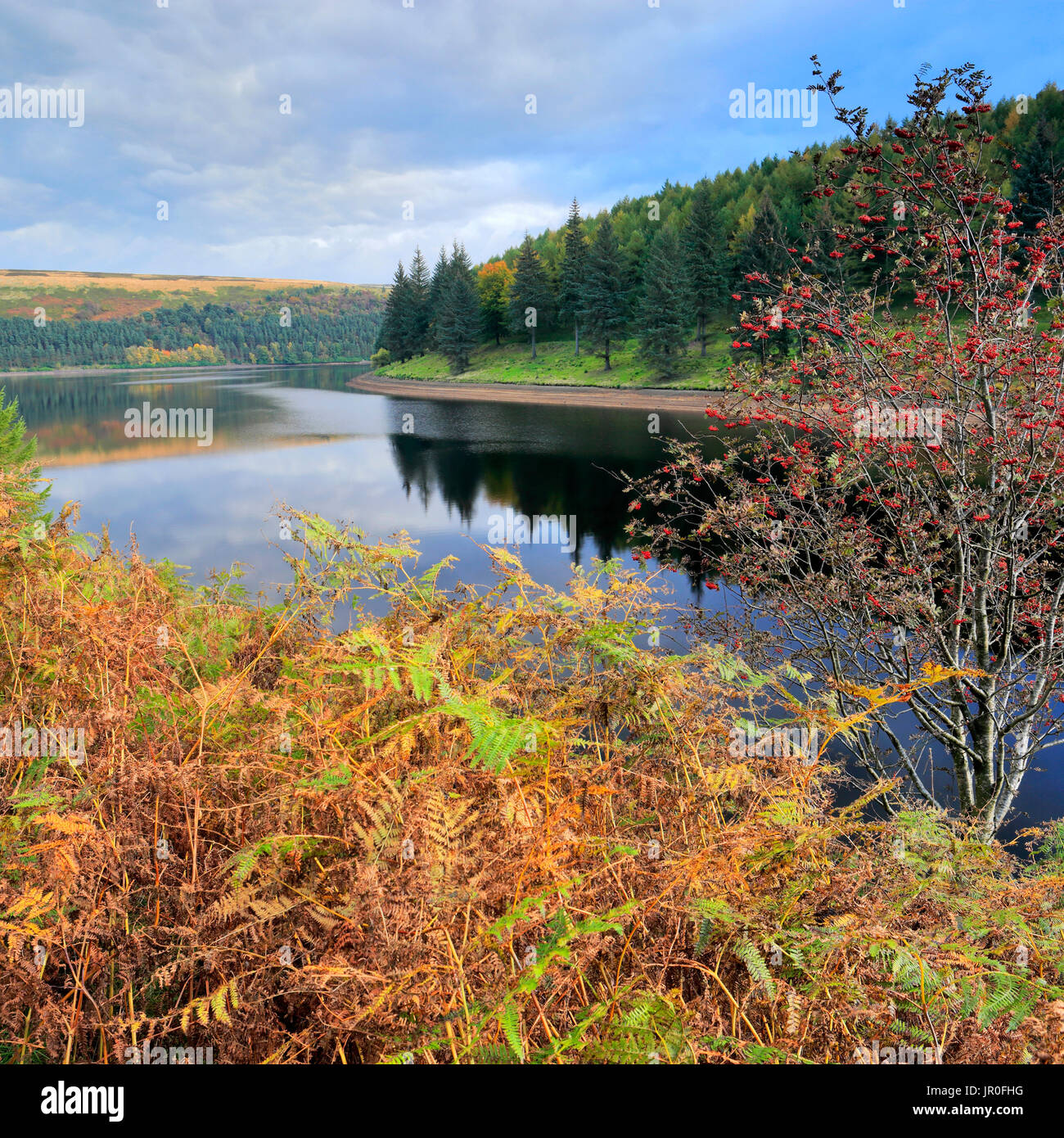 Autumn; Derwent reservoir; Derbyshire; Peak District National Park ...
