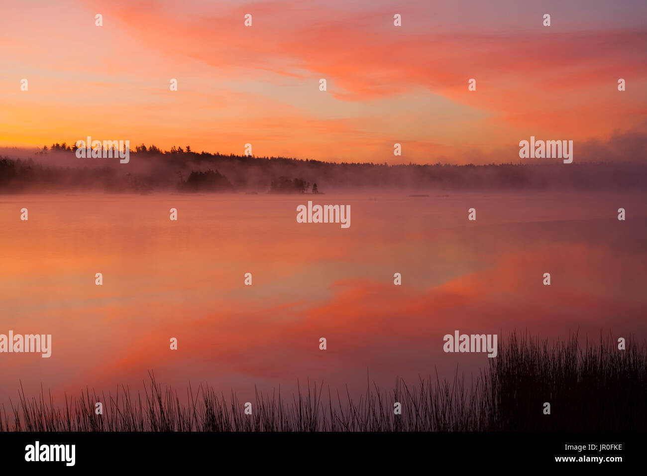 Misty Autumn Morning At Millers Lake; Nova Scotia, Canada Stock Photo ...