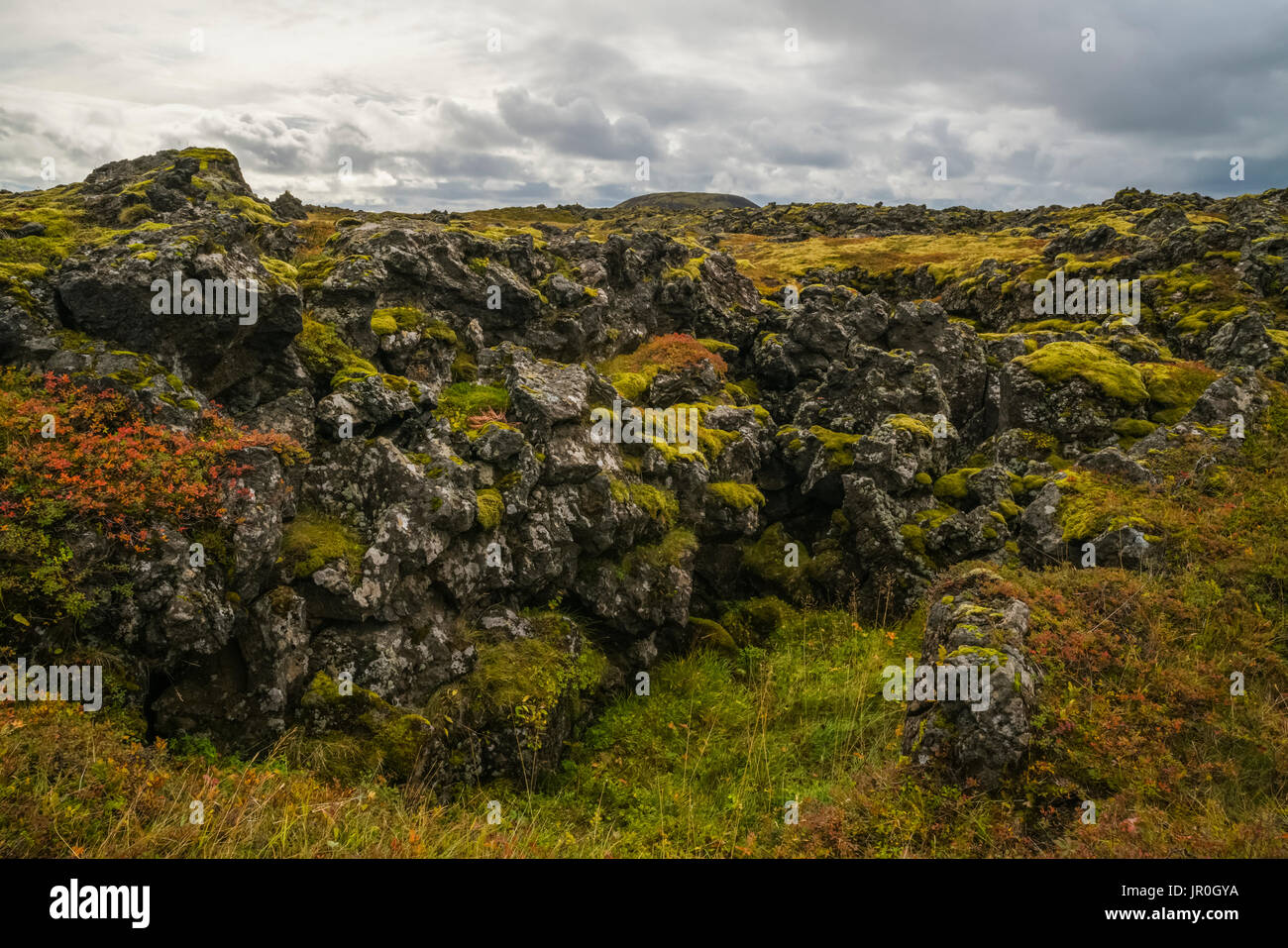 Lava coast in iceland hi-res stock photography and images - Alamy