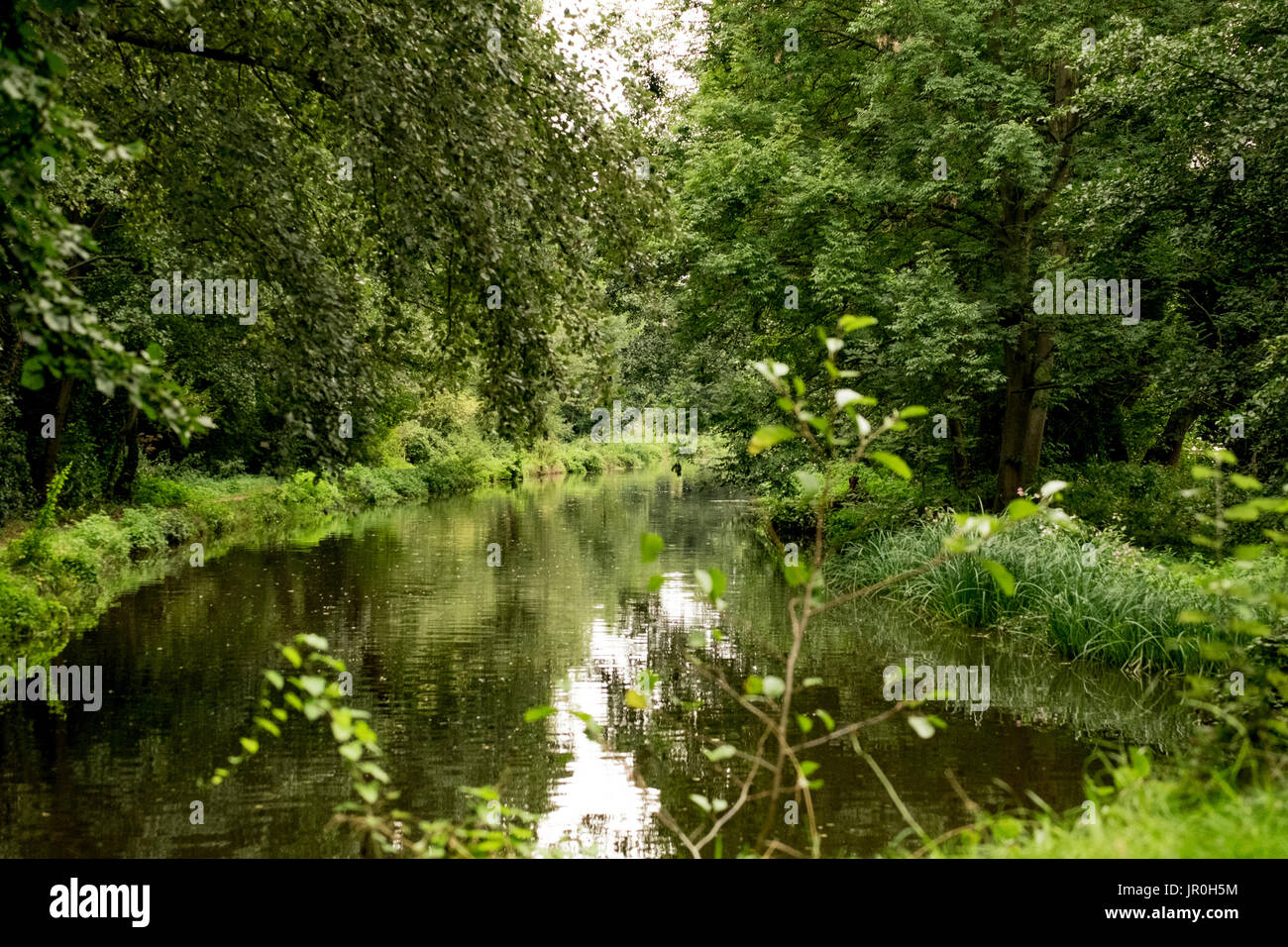 River Wey waterway Stock Photo - Alamy