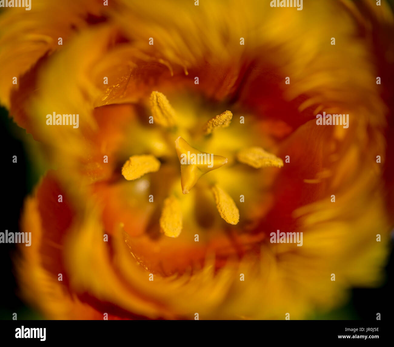 Overhead flower gardens hi-res stock photography and images - Alamy