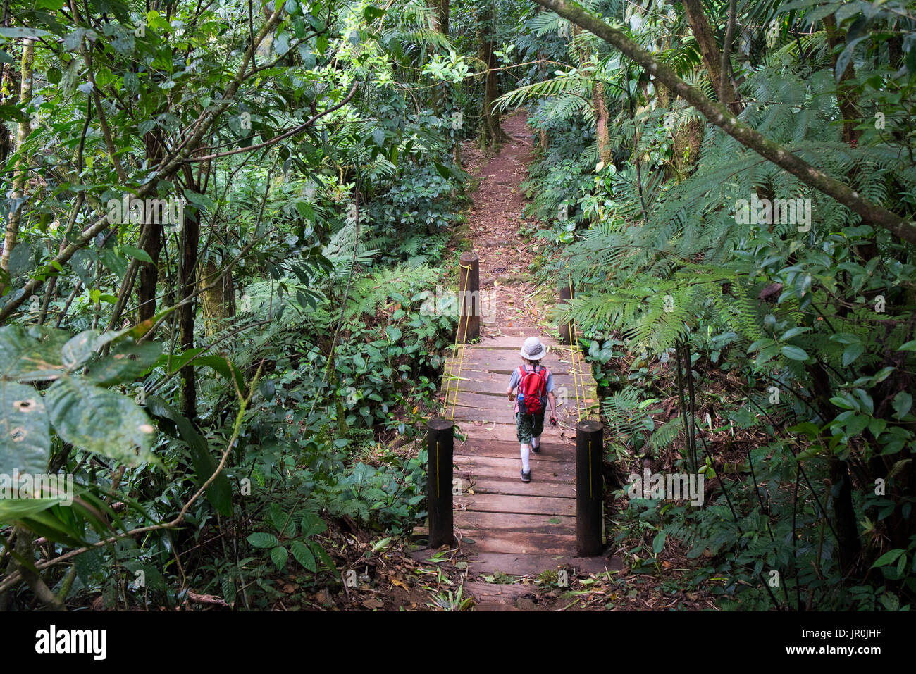 Mombacho volcano reserve hi-res stock photography and images - Alamy