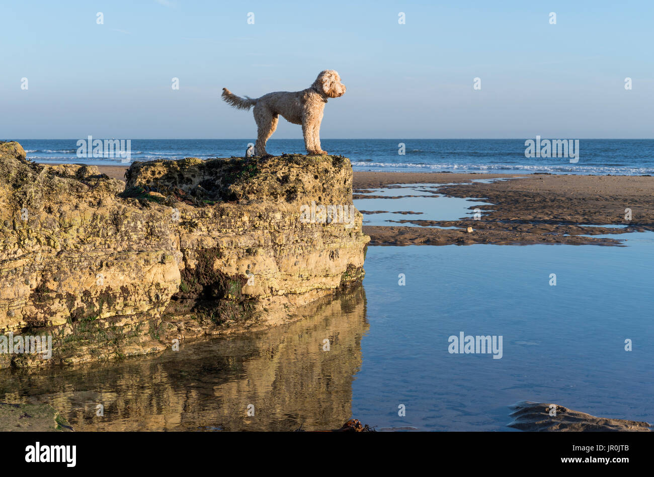 People looking over ledge hi-res stock photography and images - Alamy