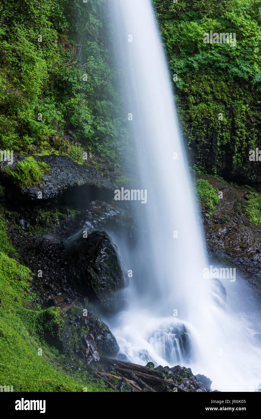 Silver falls state park hi-res stock photography and images - Alamy