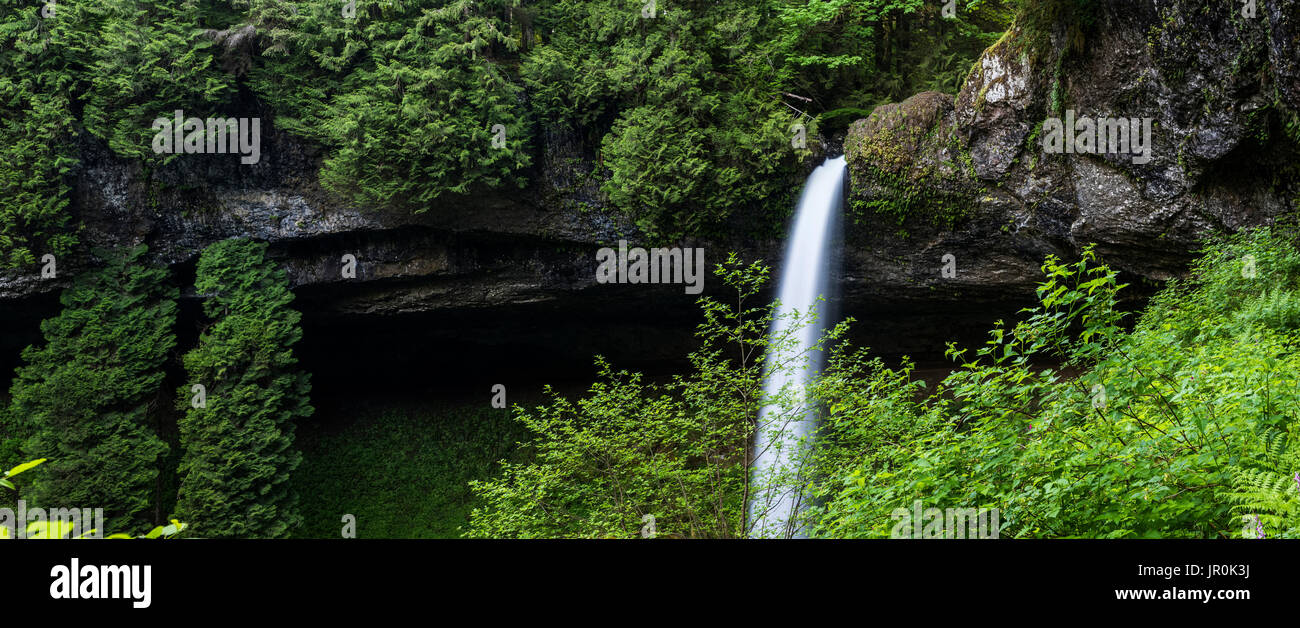 North Falls Plunges Into The Canyon At Silver Falls State Park ...