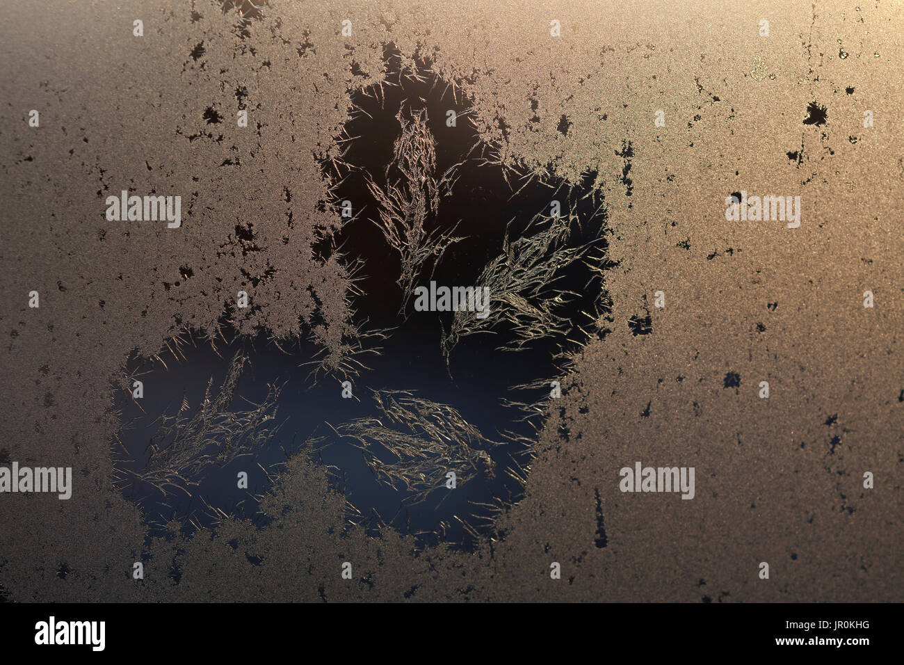 Frosty Leaf Patterns; Alaska, United States Of America Stock Photo - Alamy