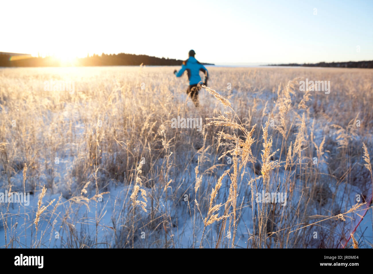 Running Across A Field With Snow And Long Grasses In Winter; Homer ...