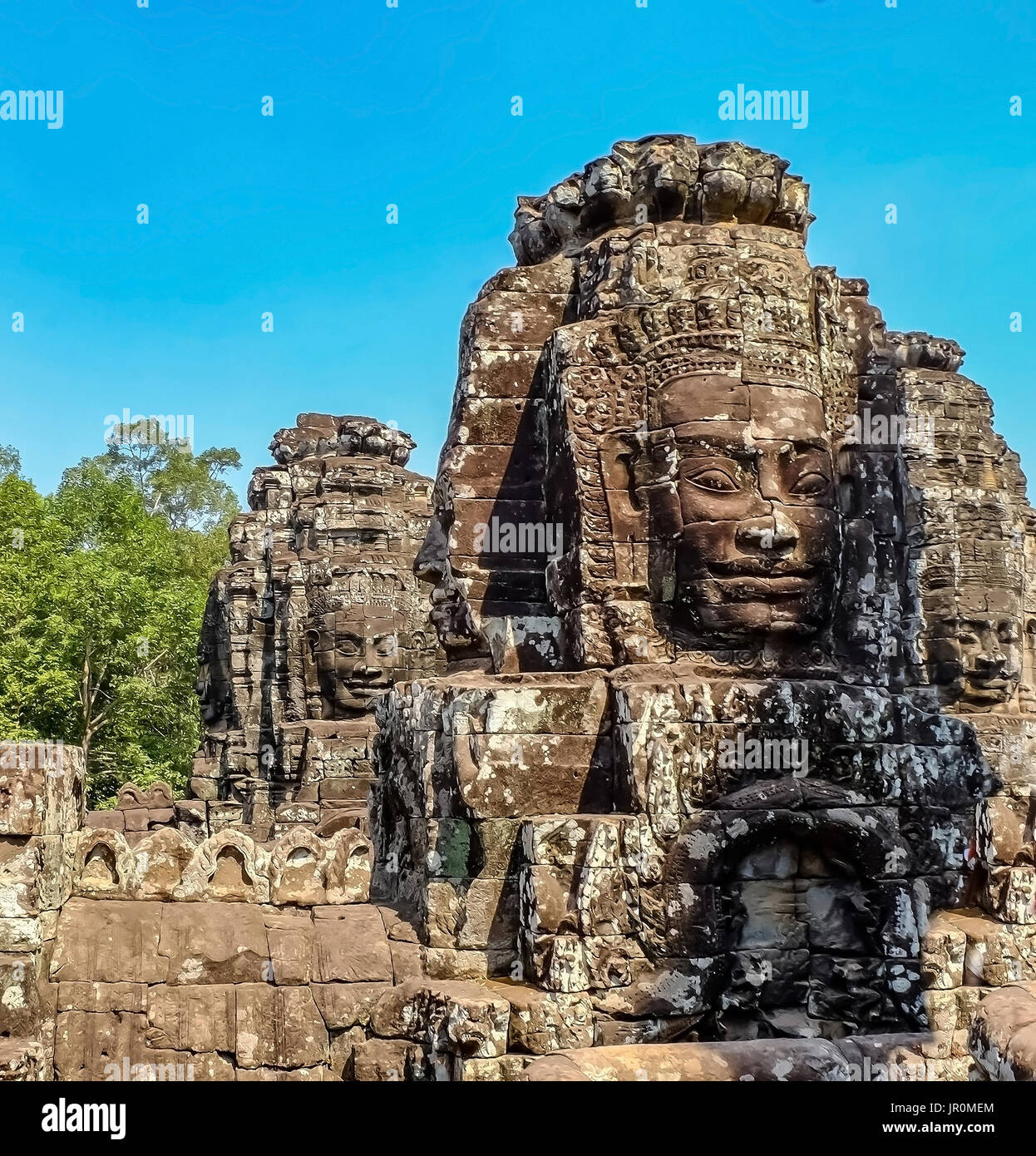 faces in jungle Stock Photo - Alamy